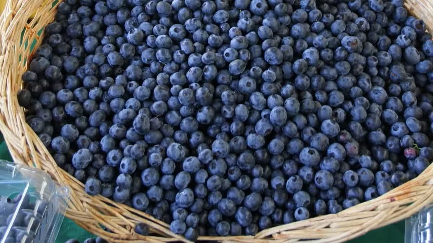 Preço do açaí dispara 43% no Pará em 2026 - Portal Parauapebas